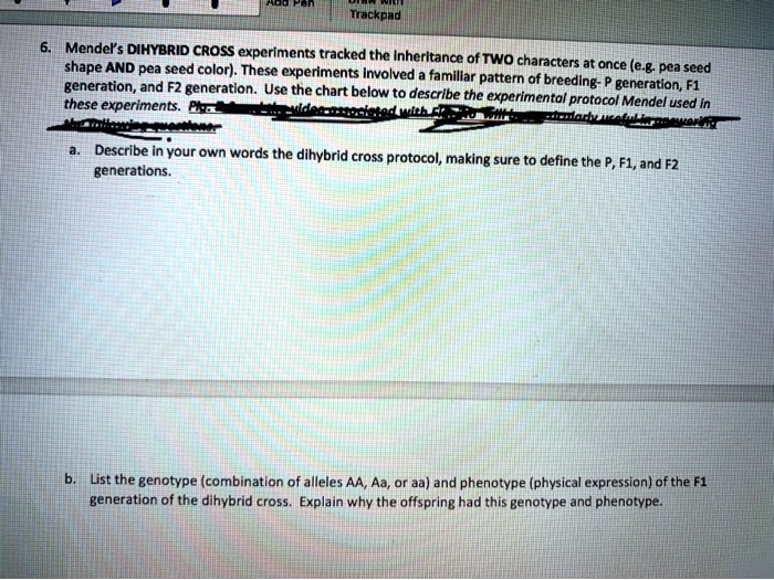 mender s dihybrid cross experiments tracked the inherltance of two ...