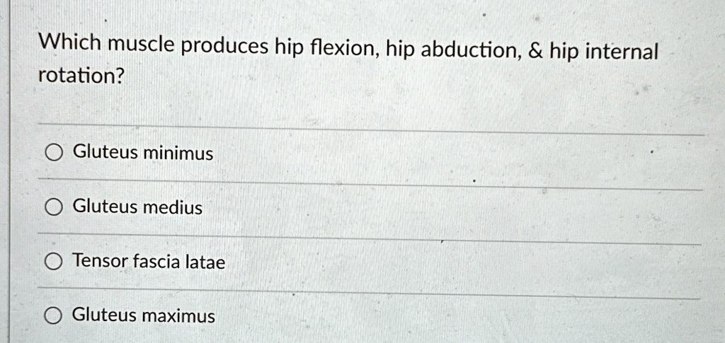 Which muscle produces hip flexion, hip abduction, hip internal rotation ... Which muscle produces hip flexion, hip abduction, hip internal rotation ...
