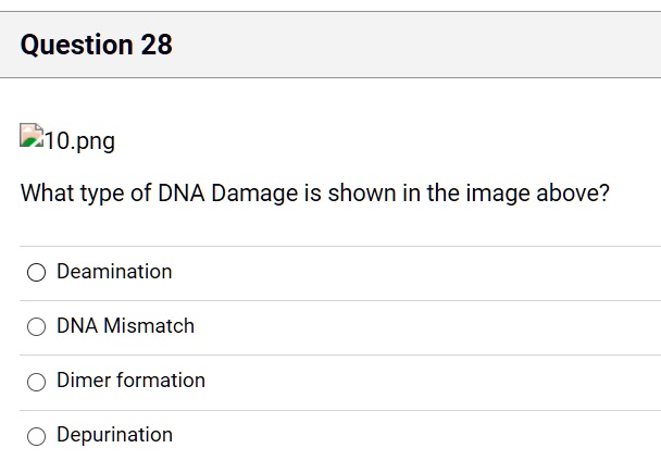 question 28 what type of dna damage is shown in the image above ...