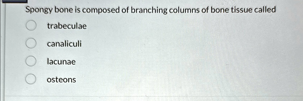 spongy bone is composed of branching columns of bone tissue called ...