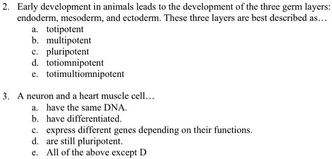 SOLVED: 2 Early development in animals leads to the development of the ...
