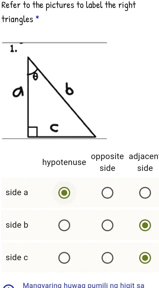 SOLVED: Refer to the pictures to label the right triangles 1. a ...