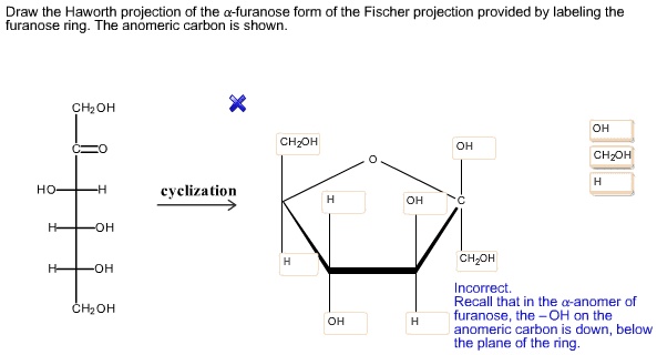 Draw the Haworth projection of the α-furanose form of the...