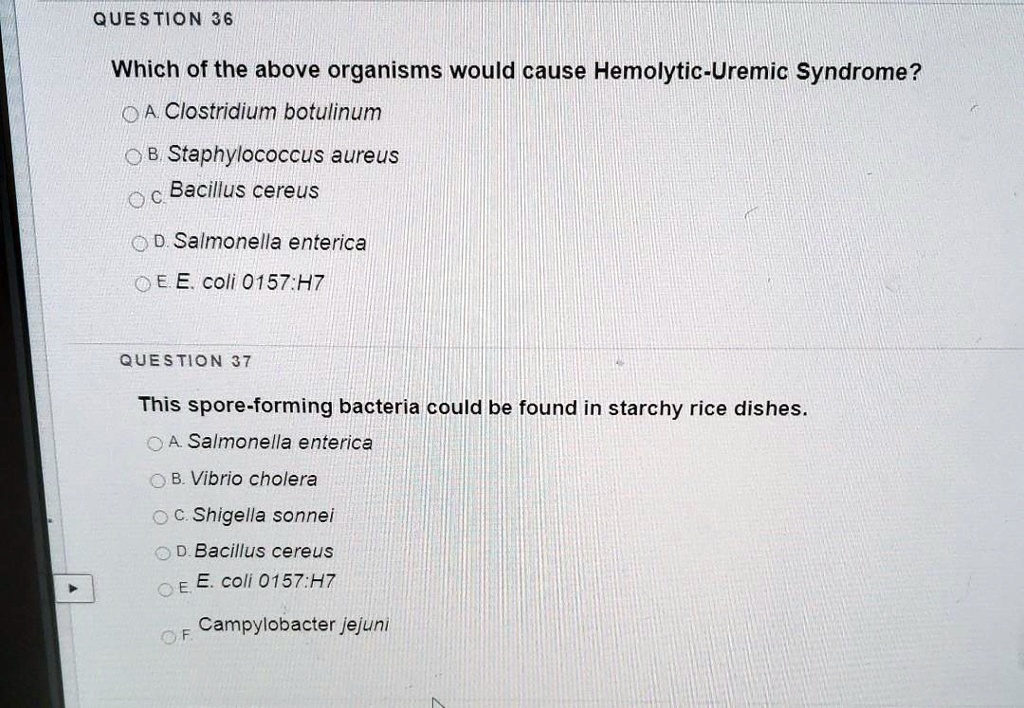 QUESTION 36 Which of the above organisms would cause Hemolytic-Uremic ...