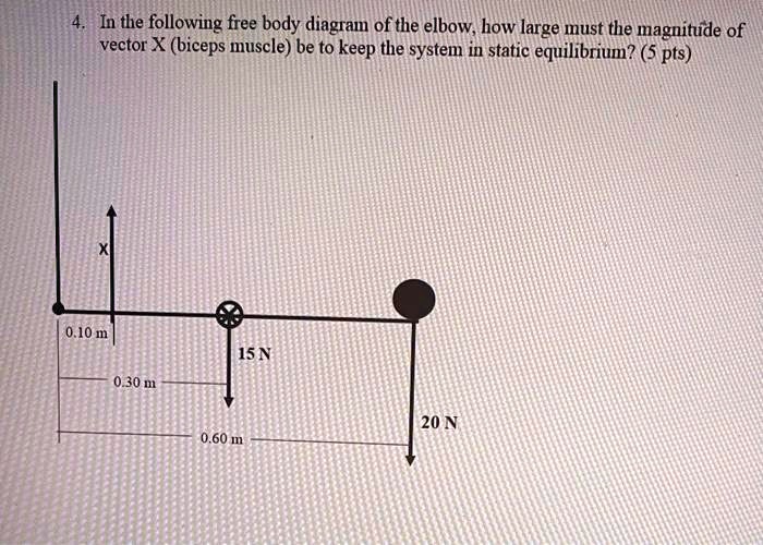 4. In the following free body diagram of the elbow, how large must the ... 4. In the following free body diagram of the elbow, how large must the ...