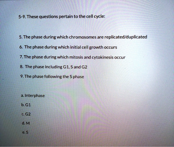 SOLVED: 5. The phase during which chromosomes are replicated/duplicated ...