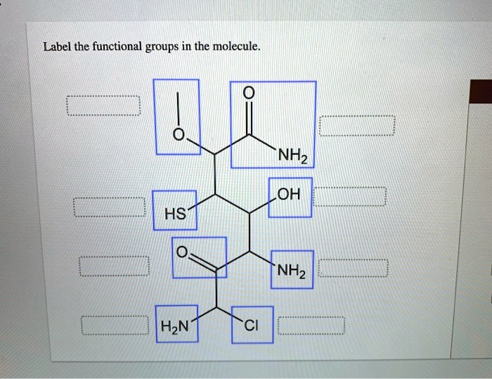 SOLVED: Label the functional groups in the molecule: OH HS NH2 HzN Cl NH2