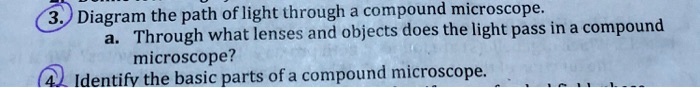SOLVED: Diagram the path of light through a compound microscope ...
