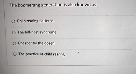 the boomerang generation is also known as child rearing patterns the ...