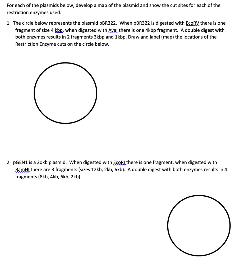 SOLVED: For each of the plasmids below, develop a map of the plasmid ...
