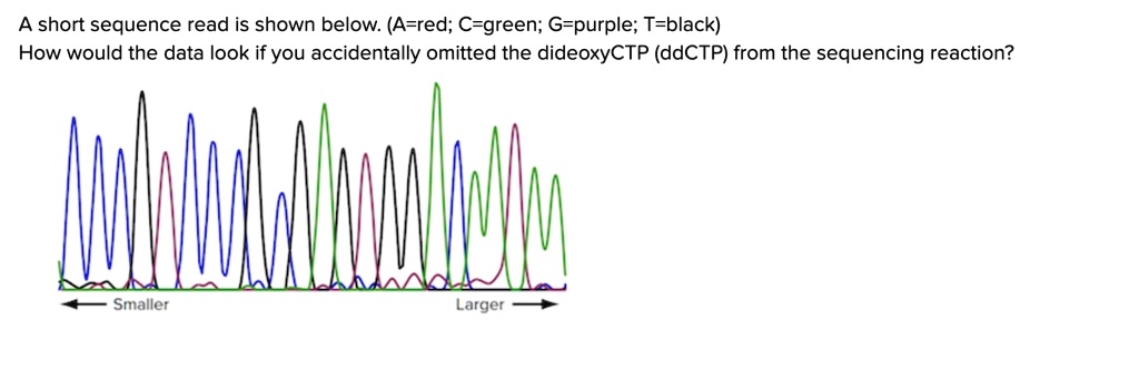 A short sequence read is shown below. (A=red; C=green; G=purple; T ...