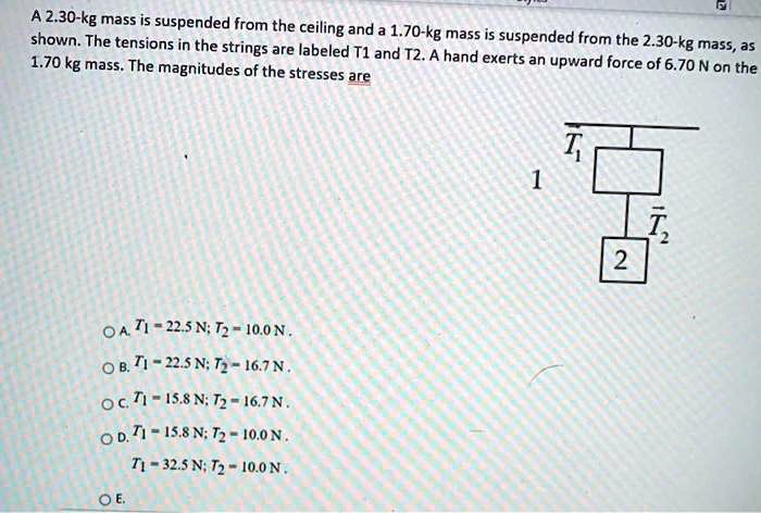 a 230 kg mass is suspended from the ceiling and a 170 kg mass is suspended from the 230 kg mass ...