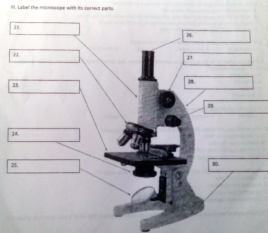 SOLVED: 'label the microscope with its correct partsn III: Label the ...