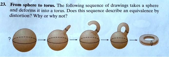 23. From sphere to torus. The following sequence of drawings takes a sphere and deforms it into ...