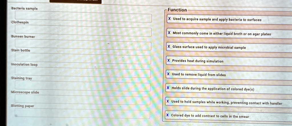 bacteria sample clothespin bunsen burner stain bottle inoculation loop ...