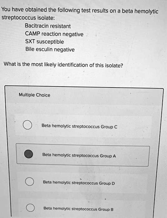 you have obtained the following test results on a beta hemolytic ...