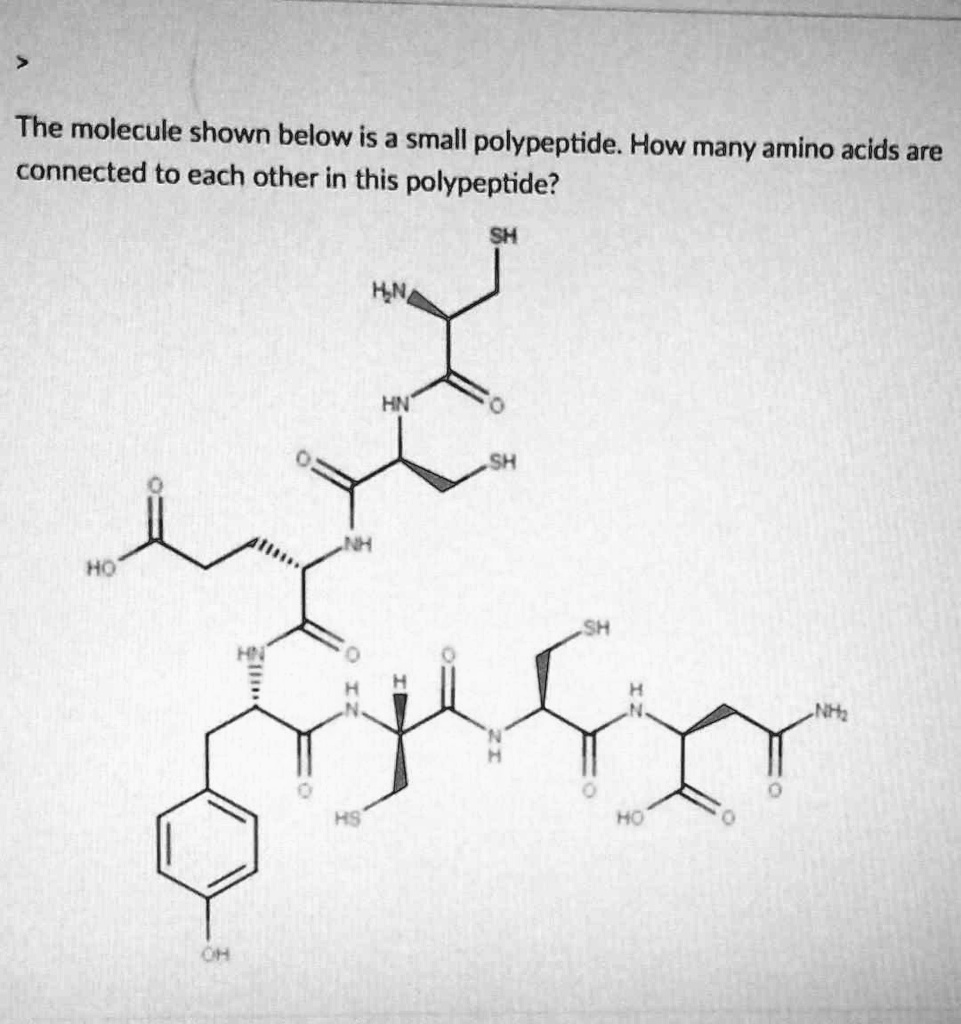 SOLVED: The molecule shown below is a small polypeptide: How many amino ...