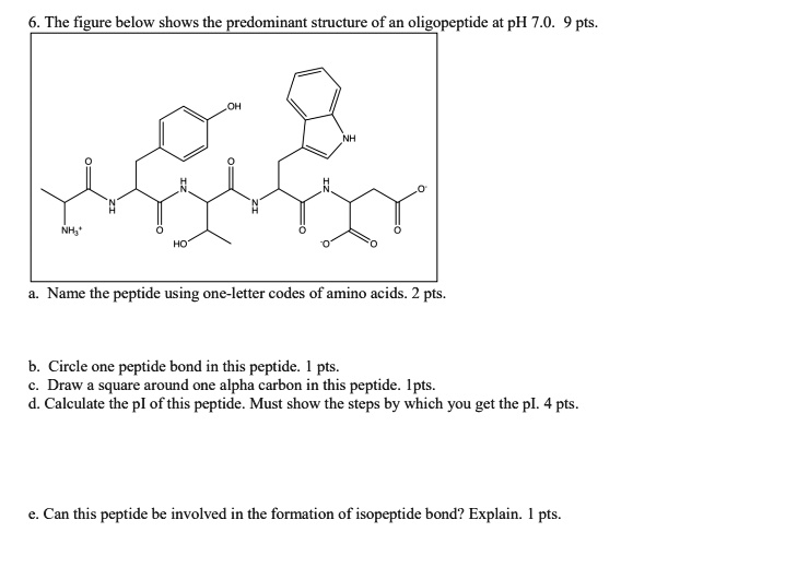 SOLVED: The figure below shows the predominant structure of an ...