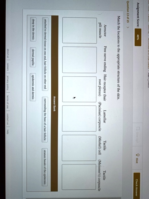 Assignment Score: 48% Question 13 of 25 > Match the...