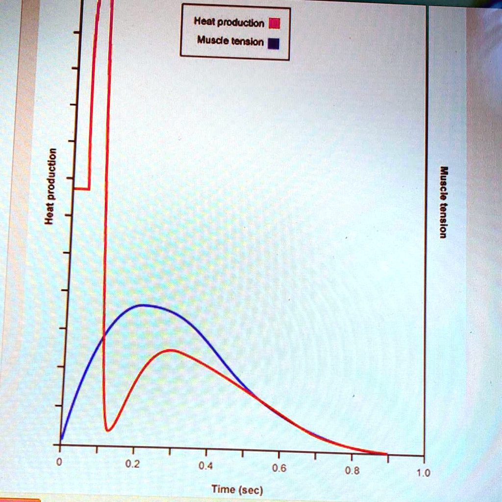SOLVED: What does the data in the graph predict? A) muscles should ...