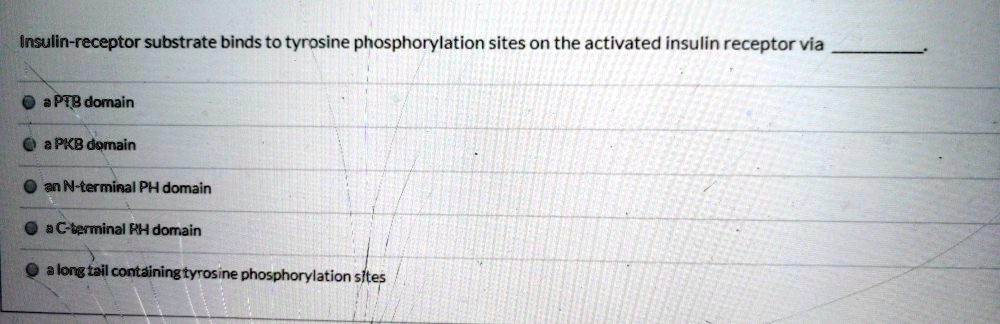 SOLVED: Insulin-receptor substrate binds to tyrosine phosphorylation ...