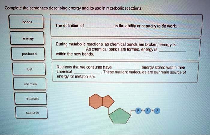 SOLVED: Complete the sentences describing energy and its use in ...