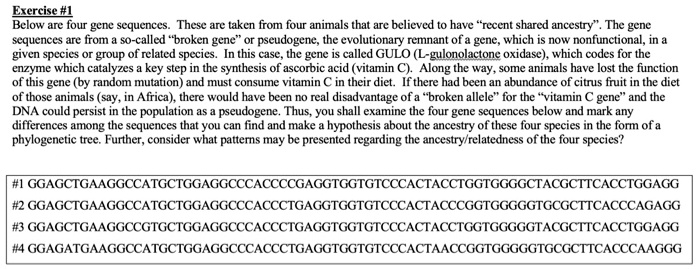 SOLVED: Eercisedl Below are four gene sequences These are taken from ...