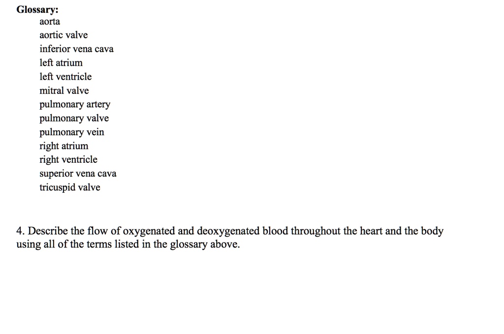Glossary: aorta aortic valve inferior vena cava left atrium left ventricle mitral valve ...