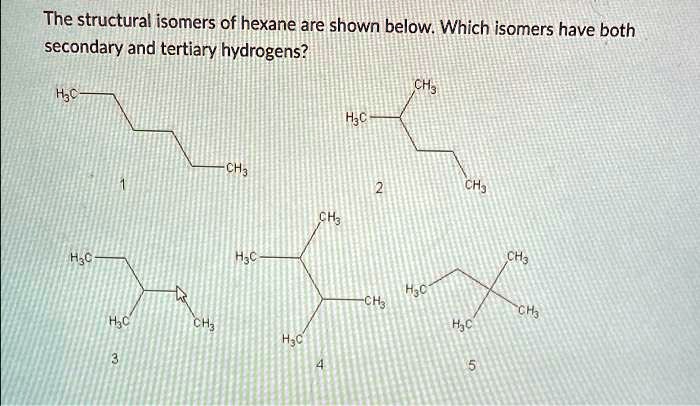 SOLVED: The structural isomers of hexane are shown below: Which isomers ...