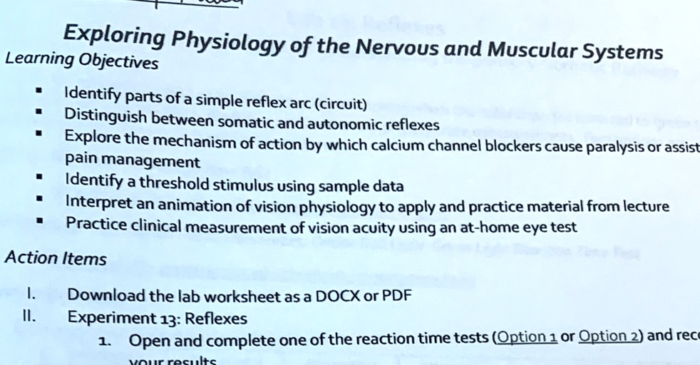 Exploring Physiology of the Nervous and Muscular Systems Learning ...