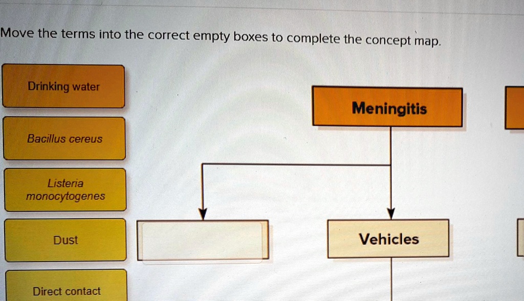 Move the terms into the correct empty boxes to complete the concept map ...