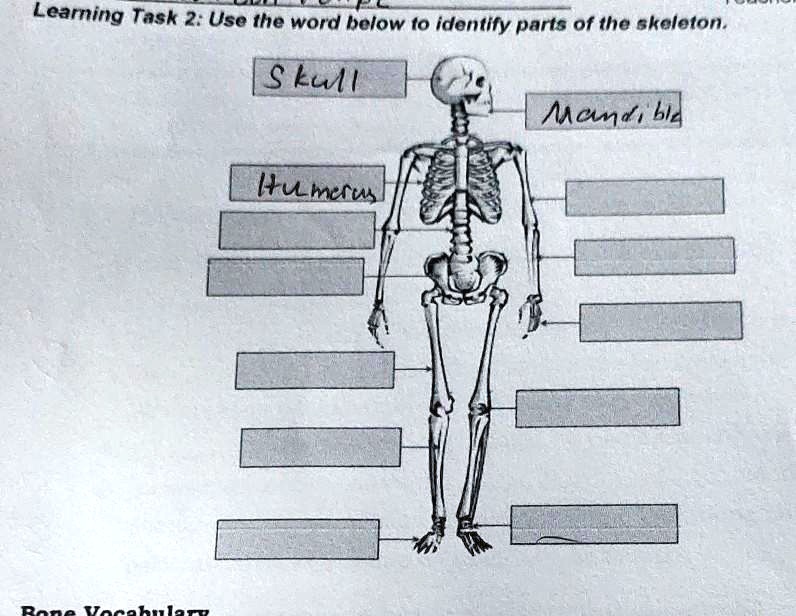 SOLVED: CIMI Learning Task 2: Use the words below to identify parts of ... SOLVED: CIMI Learning Task 2: Use the words below to identify parts of ...