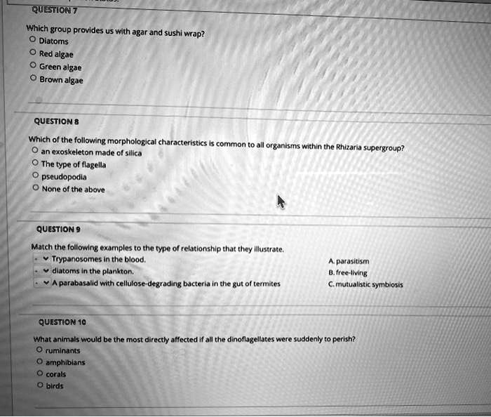 SOLVED: QUESTION 7 Which group provides us With agar and sushl wrap ...