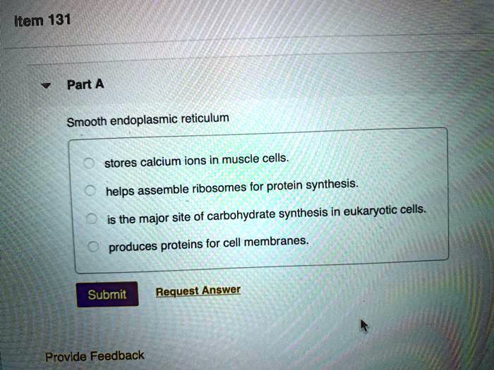 SOLVED: Item 131 Part A Smooth endoplasmic reticulum stores calcium ...