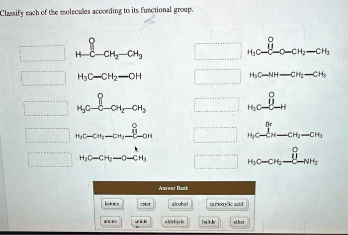 SOLVED: Classify each of the molecules according to its functional group CH H3C-CH2OH HC-NHCHCH ...