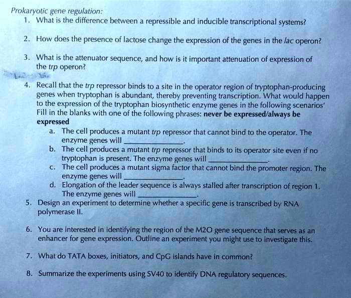 prokaryotic gene regulation what is the difference between repressible ...