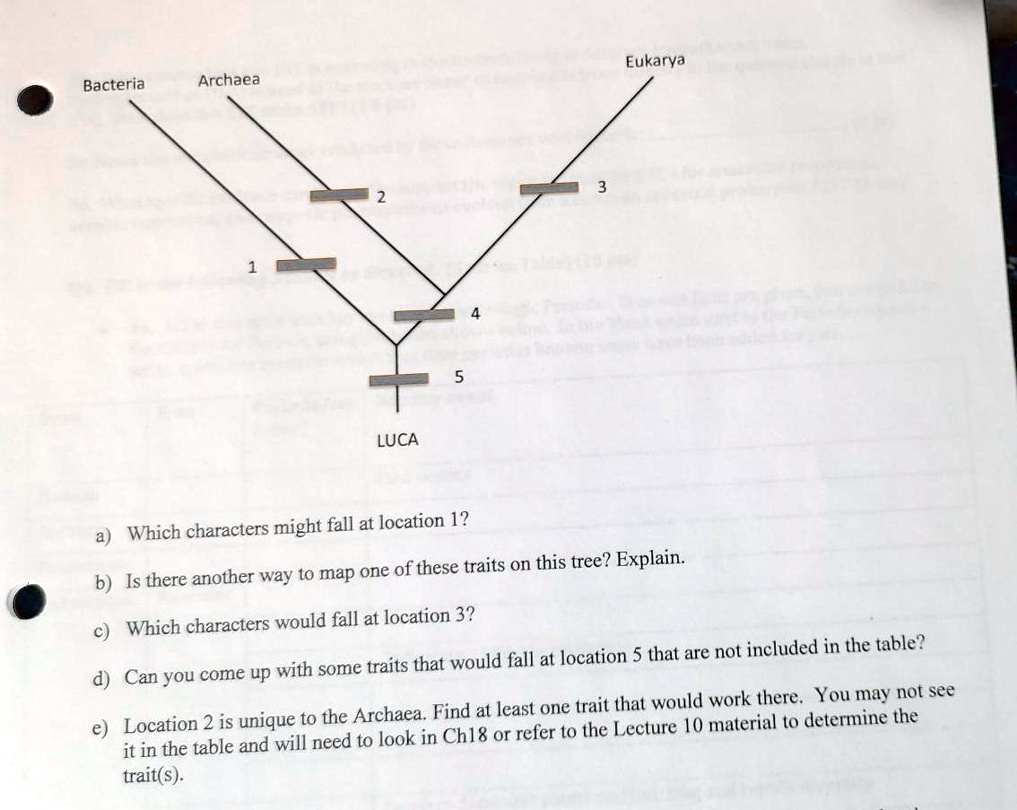 SOLVED: Eukarya Bacteria Archaea LUCA Which characters might fall at ...