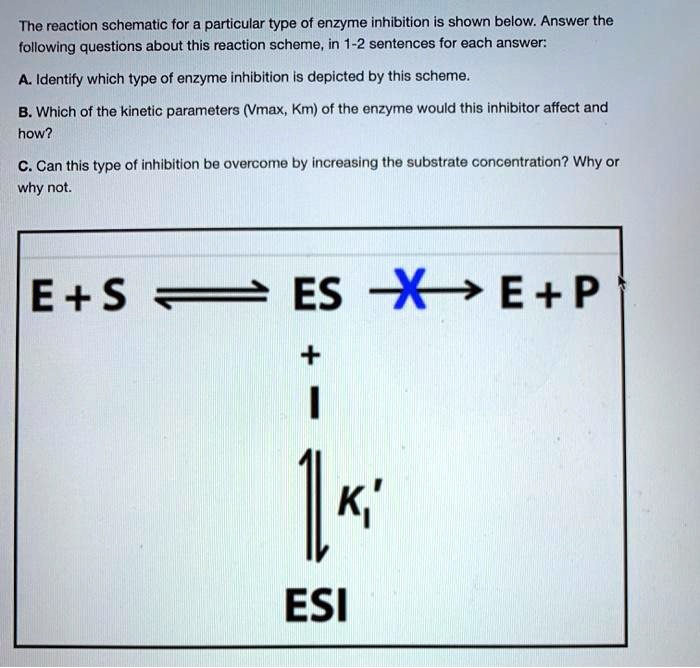 SOLVED: The reaction schematic for particular type of enzyme inhibition ...