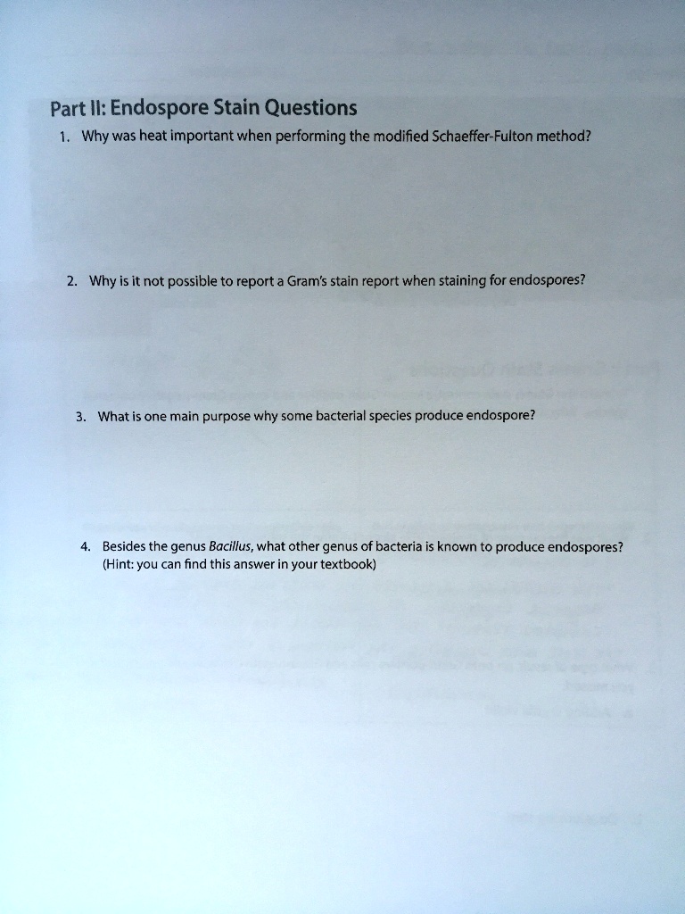 SOLVED: Part Il: Endospore Stain Questions Why was heat important when ...