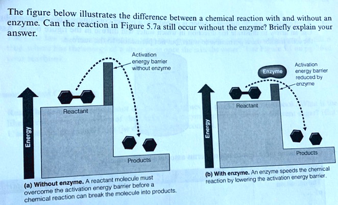 SOLVED: The figure below illustrates the difference between chemical ...