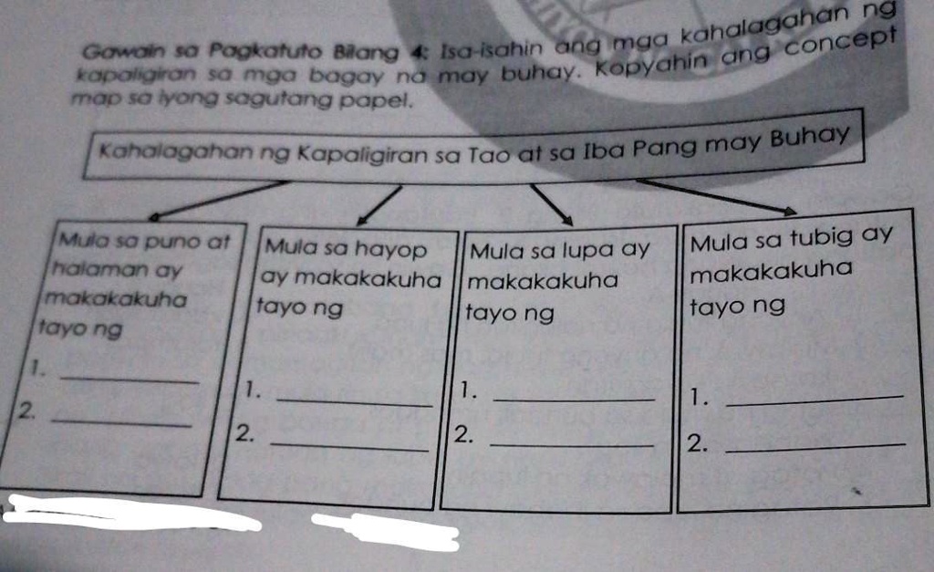 SOLVED: Gawain sa Pagkatuto Bilang 4: Isa-isahin ang mga kahalagahan ...
