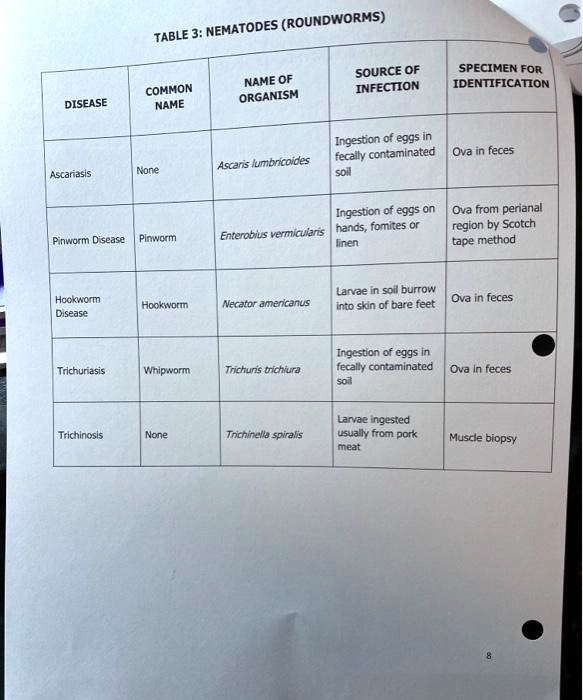 SOLVED: NEMATODES (ROUNDWORMS) TABLE SOURCE OF INFECTION SPECIMEN FOR ...