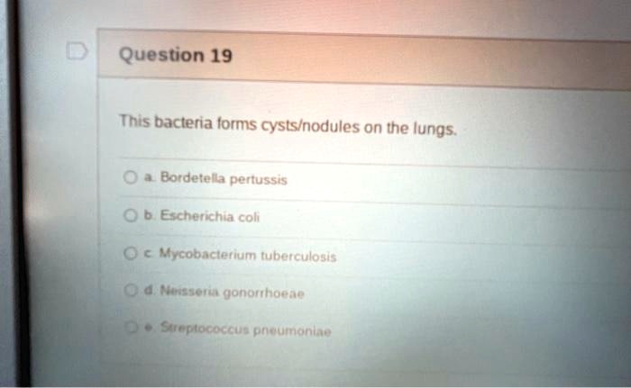 Question 19 This bacteria forms cysts/nodules on the lungs. a ...