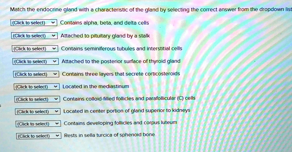 SOLVED: Match the endocrine gland with a characteristic of the gland by ...