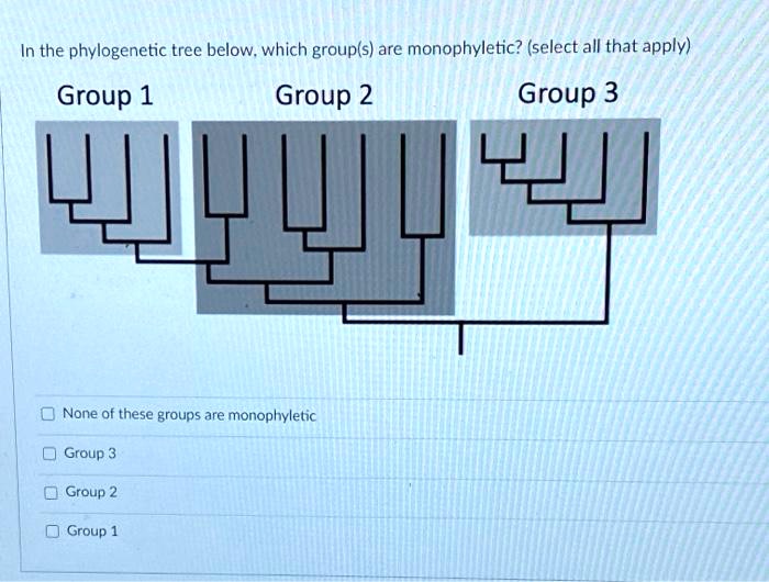SOLVED: In the phylogenetic tree below which group(s) are monophyletic ...