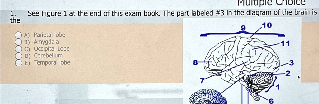 1. See Figure 1 at the end of this exam book. The part labeled #3 in ...