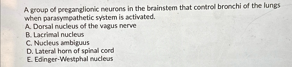 A group of preganglionic neurons in the brainstem that control bronchi ...