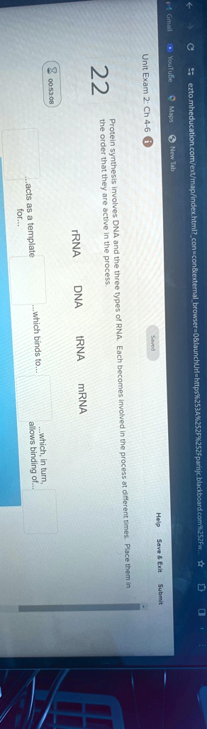SOLVED: Gmail YouTube Maps New Tab Unit Exam 2: Ch 4-6 Protein synthesis involves DNA and the ...