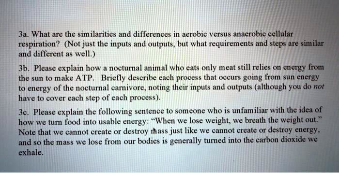 3a what are the similarities and differences acrobic versus anaerobic ...