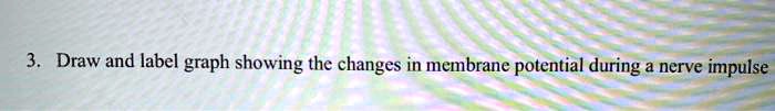 SOLVED: Draw and label graph showing the changes in membrane potential ...